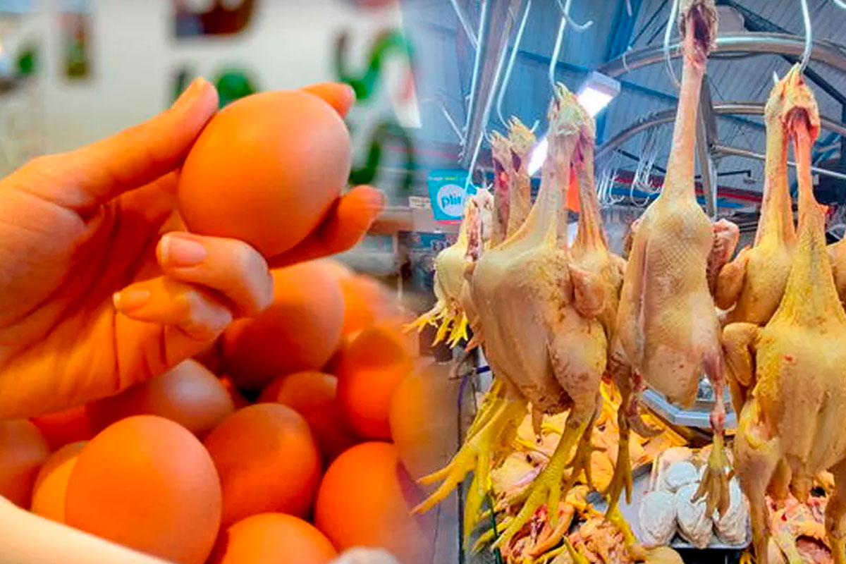 precio del pollo - ATV - Atrevámonos