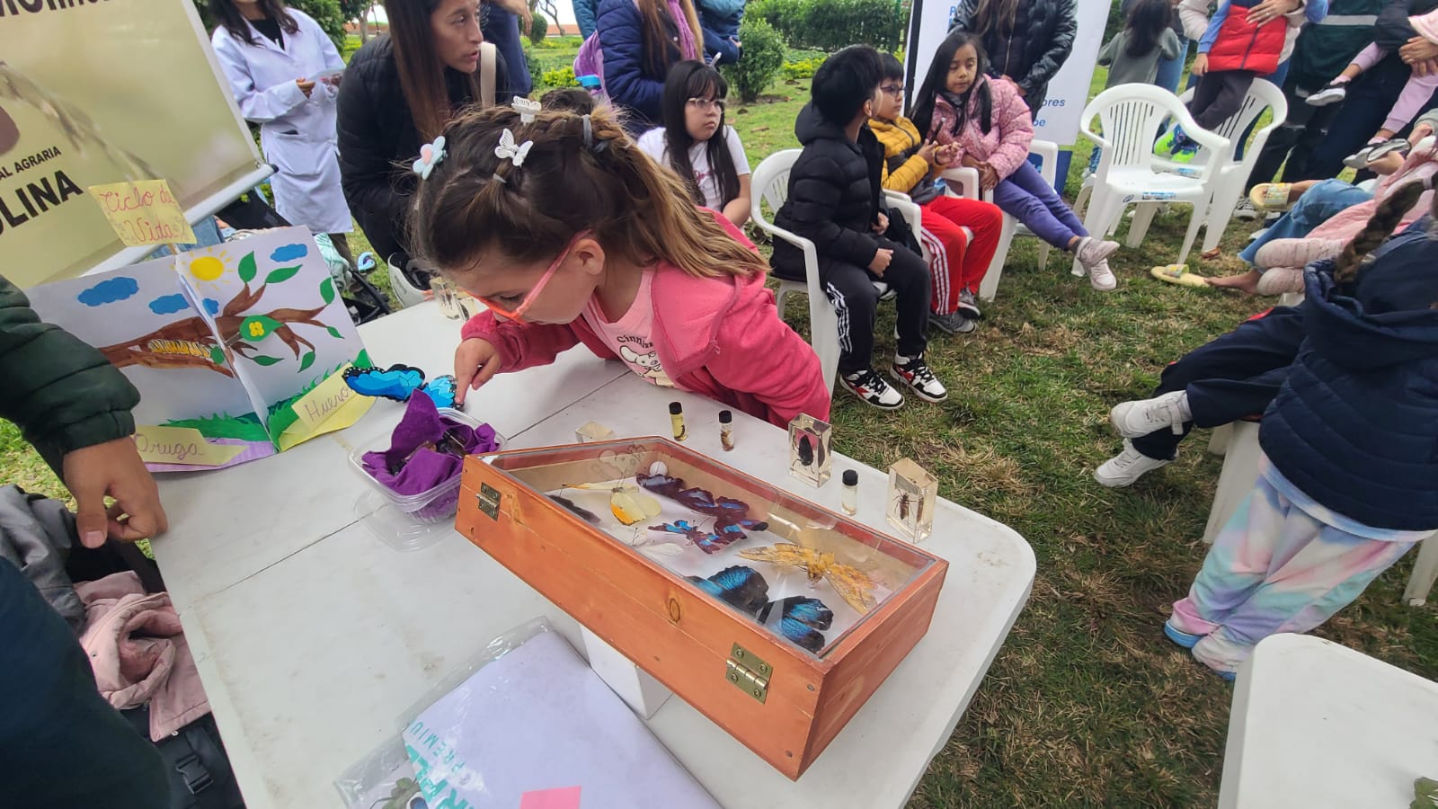 Miraflores forma minibiólogos con taller vivencial de insectos al aire ...