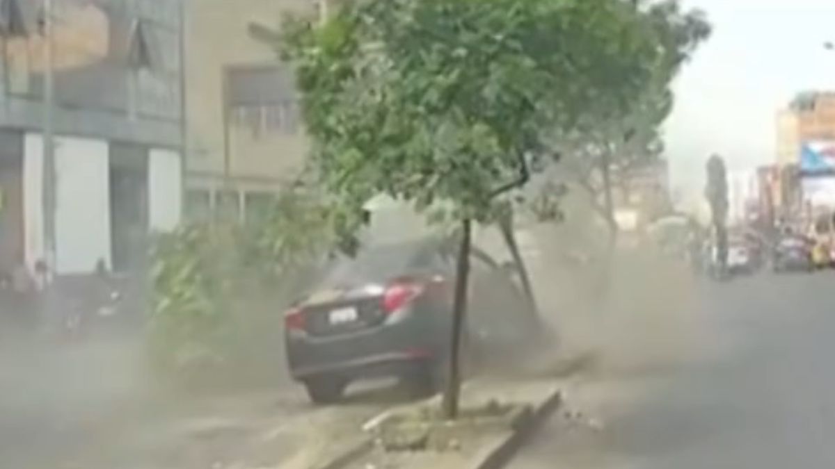 Accidente en avenida Abancay: auto se empotra contra árbol - ATV